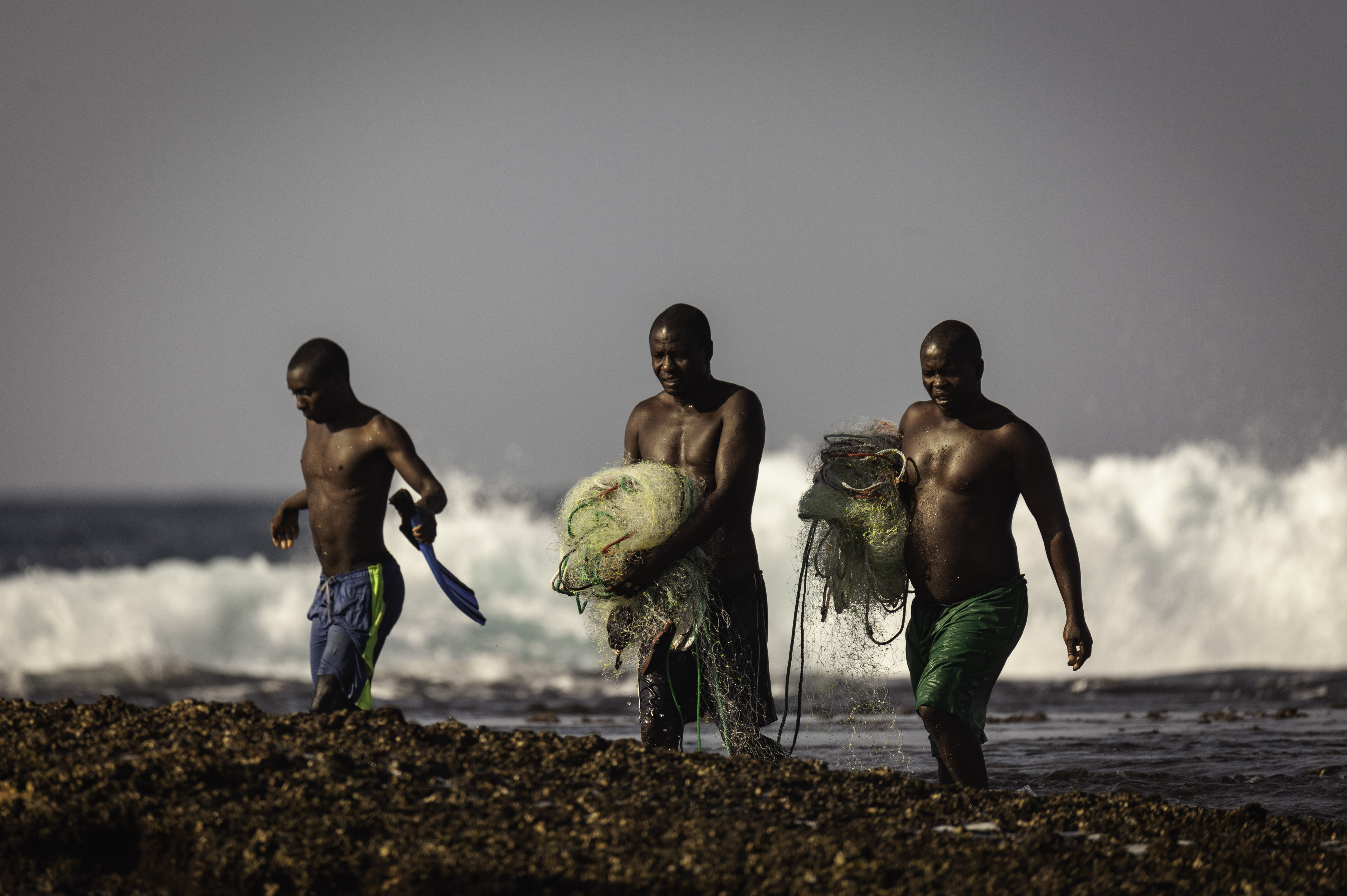 Our Research – Love The Oceans