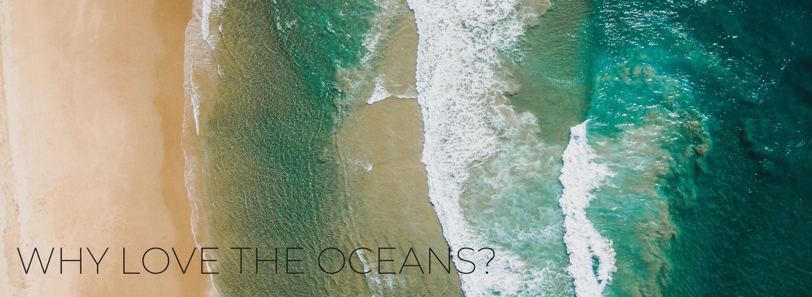 Why Love The Oceans – Love The Oceans
